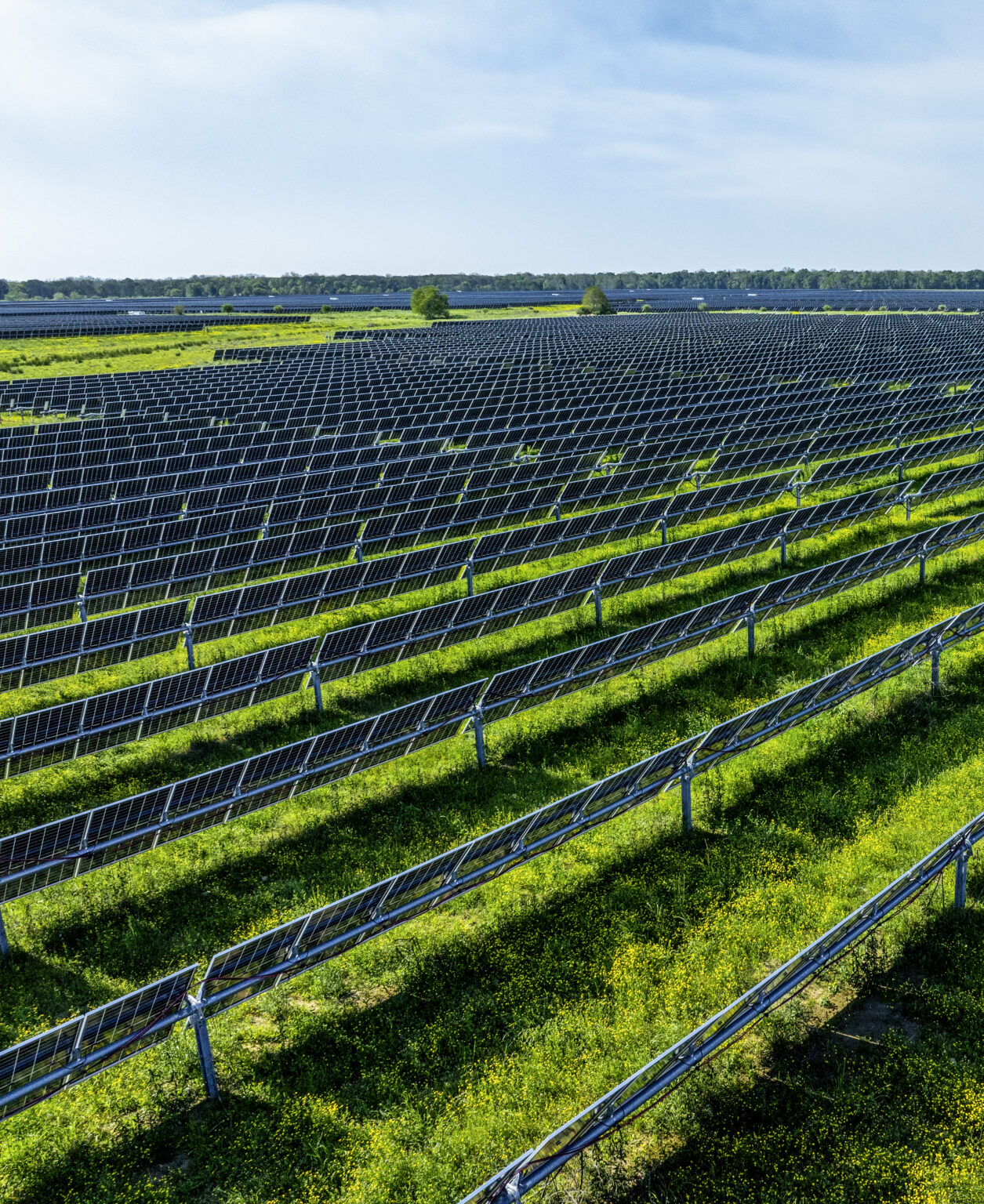 JERA Nex Forms Partnership with Catalyst Energy Partners | JERA Nex